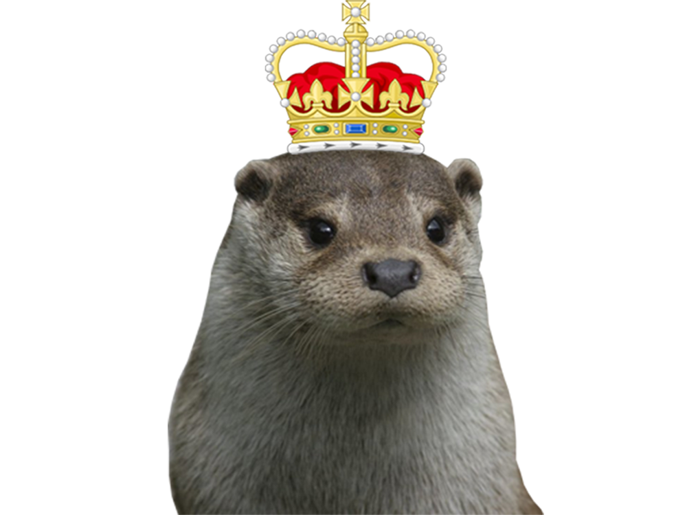 Sticker de Ffc sur loutre ffc roi