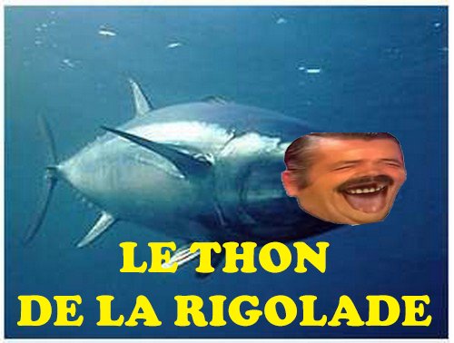 Sticker de Suinter sur rigolade tons risitas